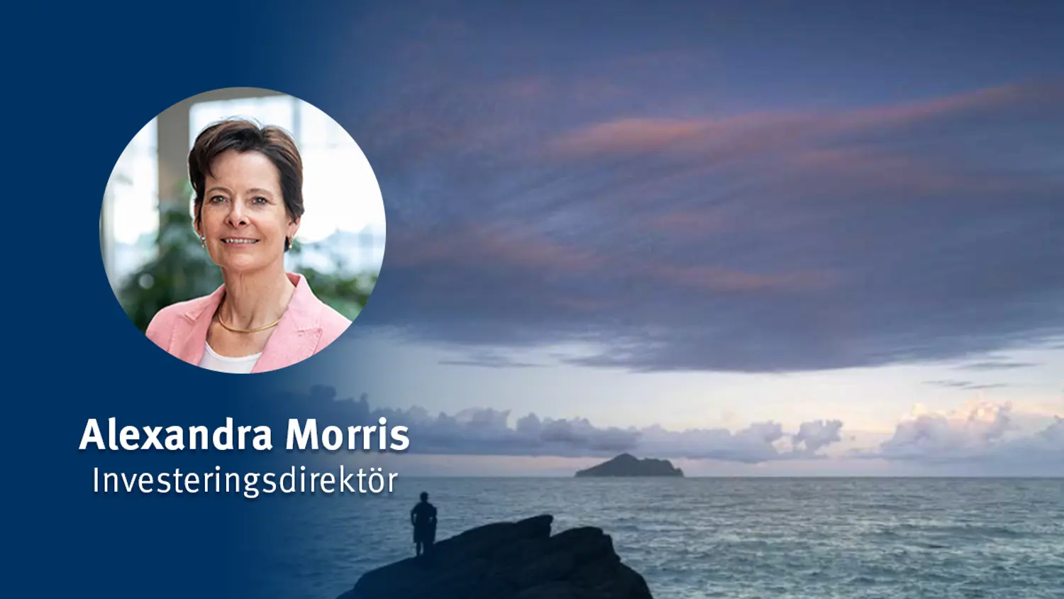 Alexandra Morris: Ännu ett bra år för globala aktier - SKAGEN Fonder